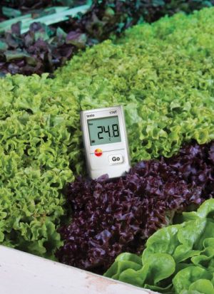 testo 174T - Mini Data Logger (Set) | AML Instruments